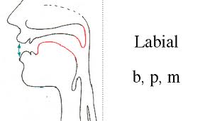 PLACE OF ARTICULATION :: learn more english